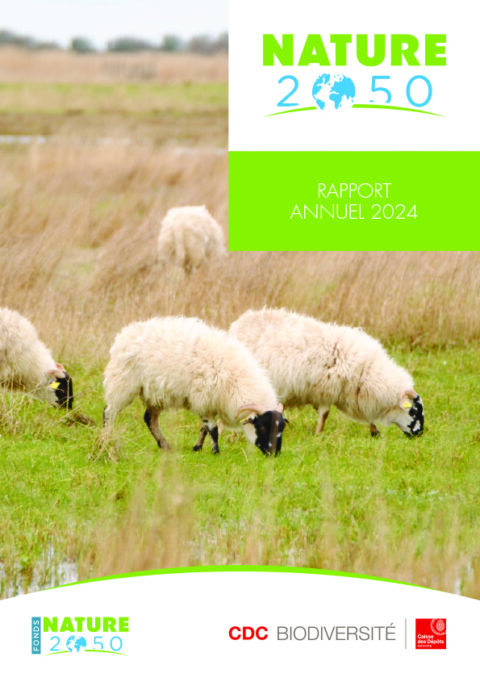 Rapport annuel 2024 du programme Nature 2050 | CDC Biodiversité